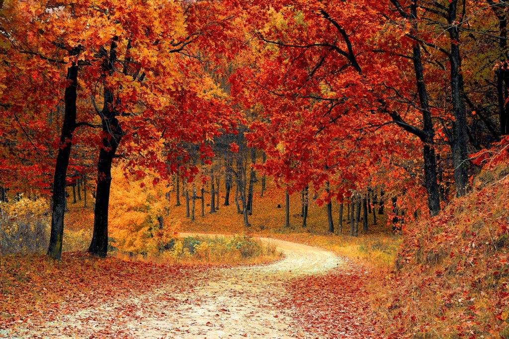 Four Reasons to Get Excited About Your Fall Move | Military Crashpad®